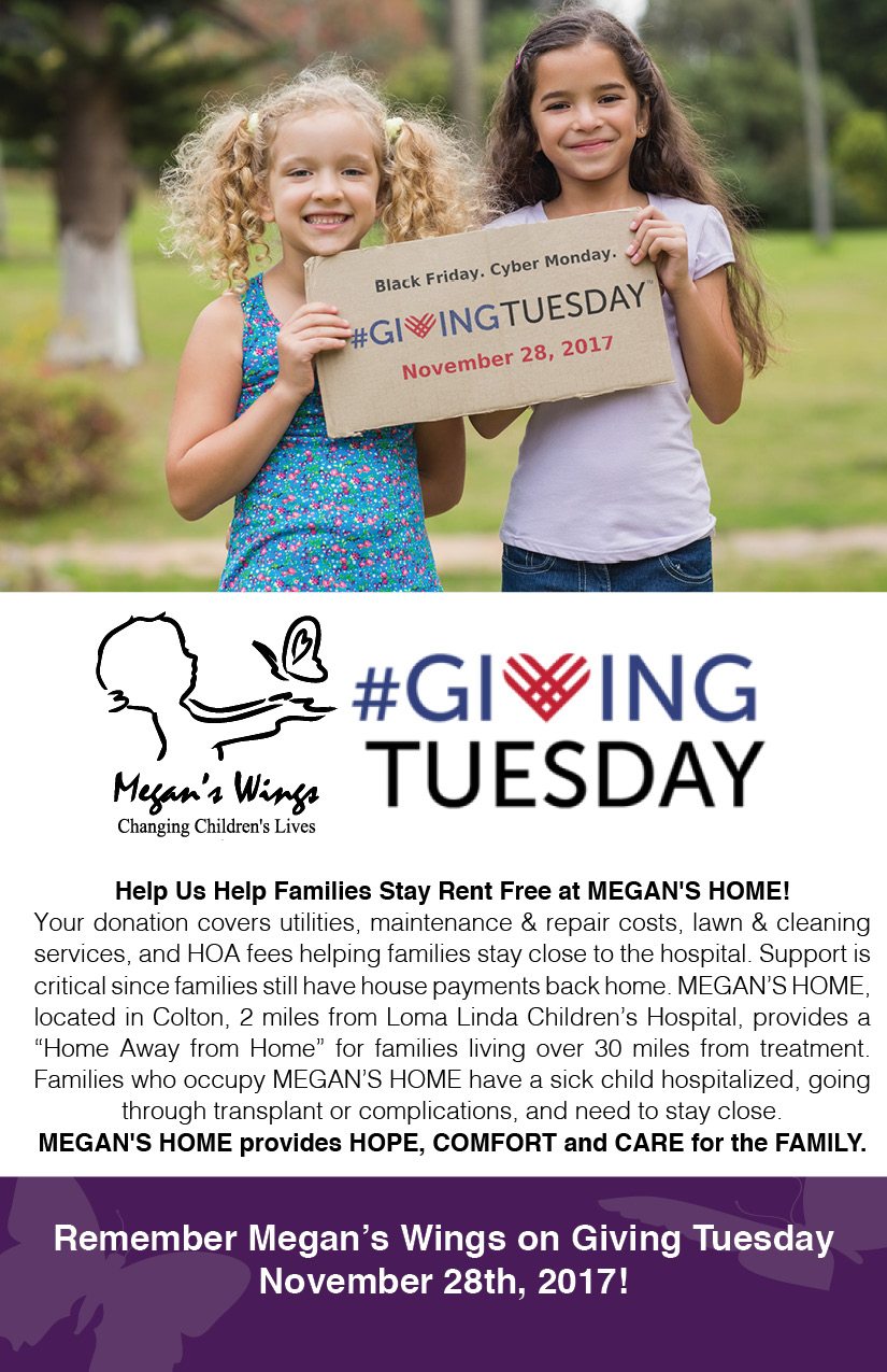Megan's Wings Giving Tuesday Campaign